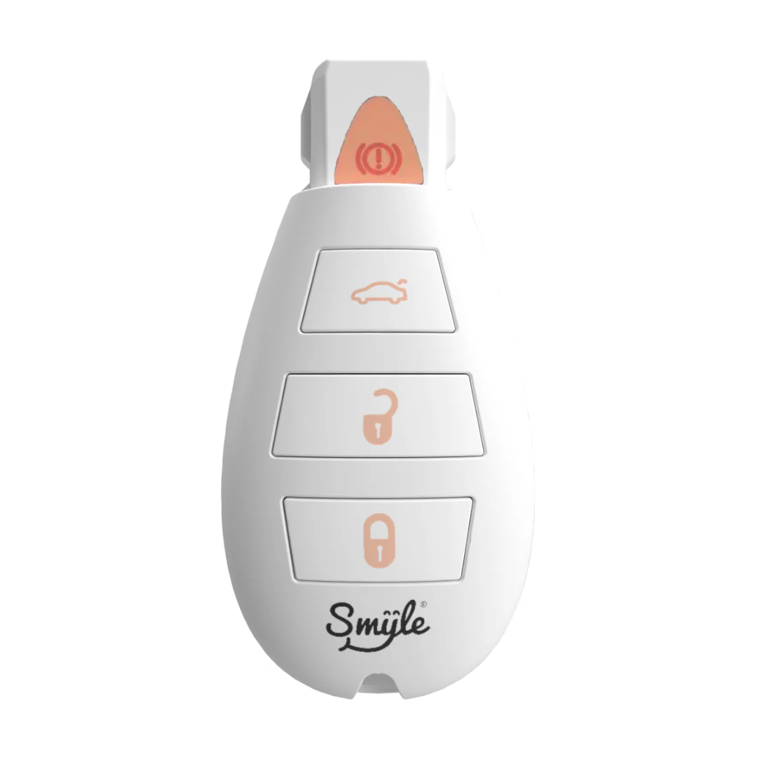 Car Key Penjamin by Smyle™ Labs — BattSkins